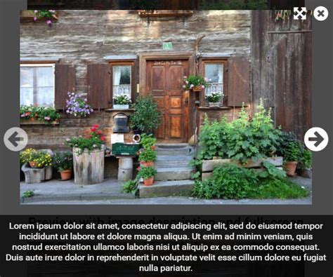 Angular 24 Image Gallery Plugin Ngx Gallery Angular Script