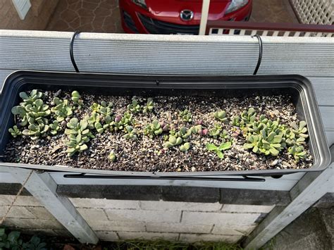 Garden Eipblog Garden Eipblog