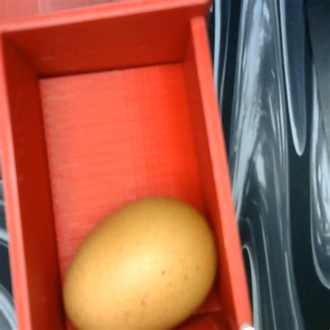 Egg Detection Object Detection Dataset And Pre Trained Model By Detection