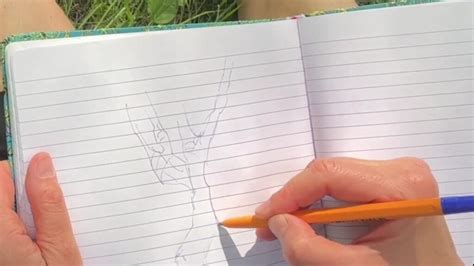How To Draw Trees A Step By Step Guide Skillshare Blog