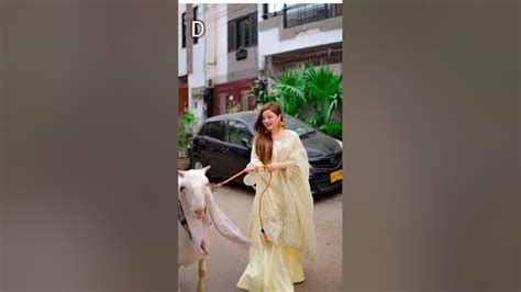 Rabeeca Khan Eid 1day Look Reelsviralvideo Reel Viral Shorts Youtube