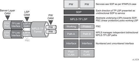 Mpls Tp Model
