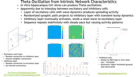 Automated Discovery Of Fundamental Variables Hidden In Experimental Data R Compmathneuro