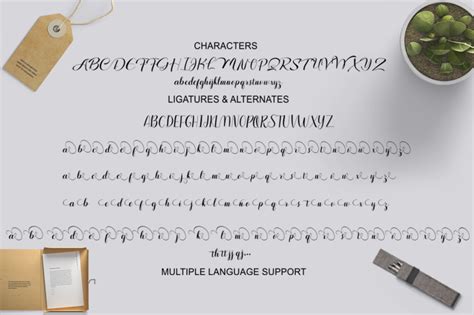 Olivia Script Font Fonts