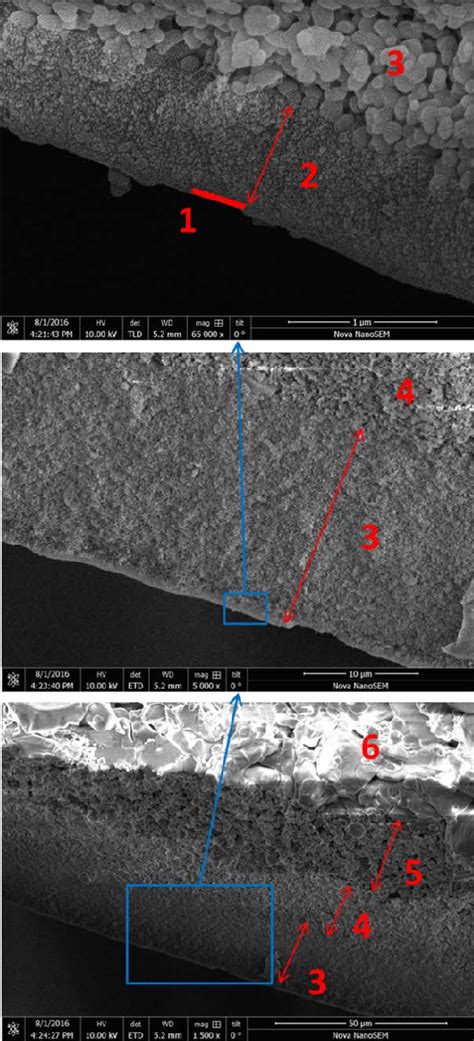 Figure 1 From Delft University Of Technology Atmospheric Pressure Atomic Layer Deposition For