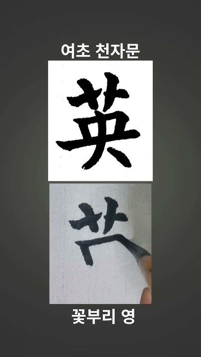 꽃부리 영 여초천자문 Youtube