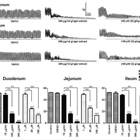 Concentration Response Curves Of Ach Induced Contraction In Duodenum