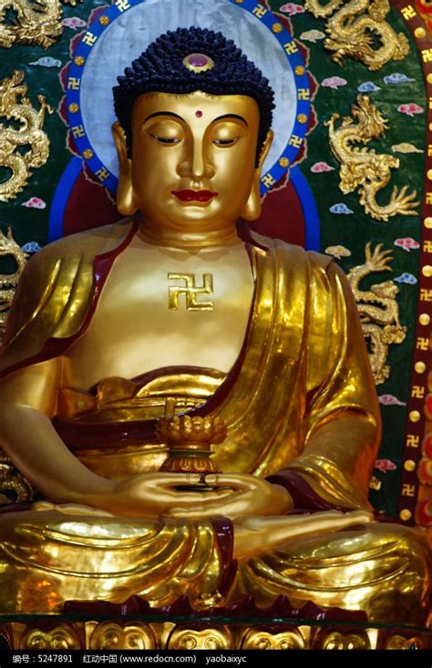 梵天寺的释迦摩尼佛像高清图片下载 红动中国