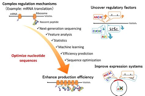 Yamasaki Lab Laboratories Research Institute For Microbial Diseases