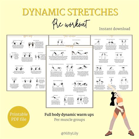 Full Body Dynamic Stretches Pre Workout Gym Flexibility Range Of Motion Mobility
