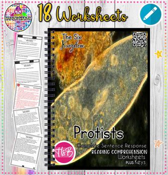 Protists The Six Kingdoms Reading Comprehension Keys By Harborsidebay