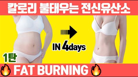 🔥출렁이는 지방🔥단기간에 빼고 싶으면 이 유산소운동 1달만 하세요 유산소 다이어트전신 유산소 타바타칼로리 폭발 운동 Youtube