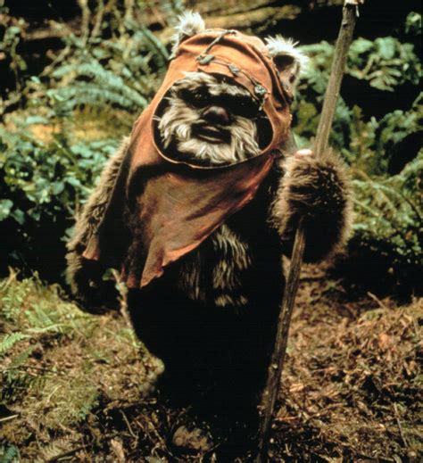 Ewoks Wallpapers Wallpaper Cave