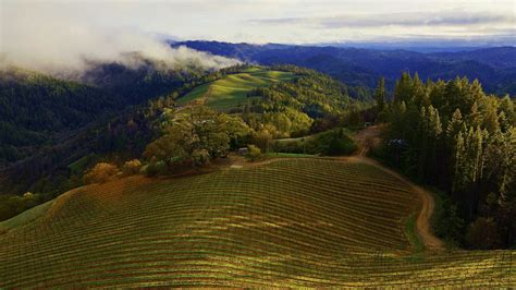 Macos Sonoma Wallpaper Free Download Macos Sonoma Wallpaper Free Download