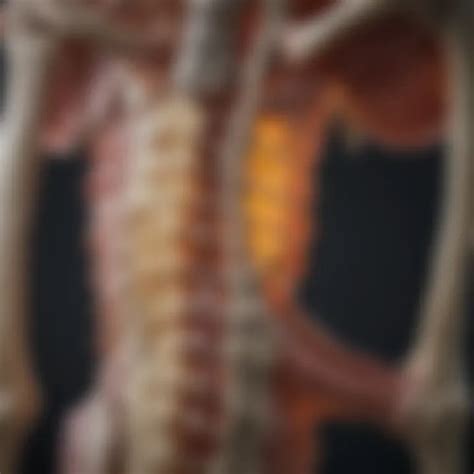 Multilevel Facet Arthropathy A Detailed Analysis