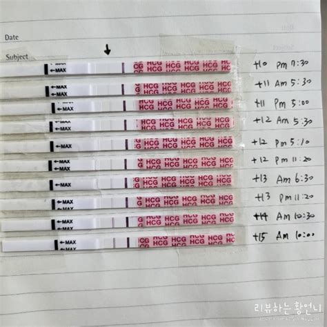 임신기록 배란 10일째 증상 부터 배란 17일째 임신피검사 네이버 블로그