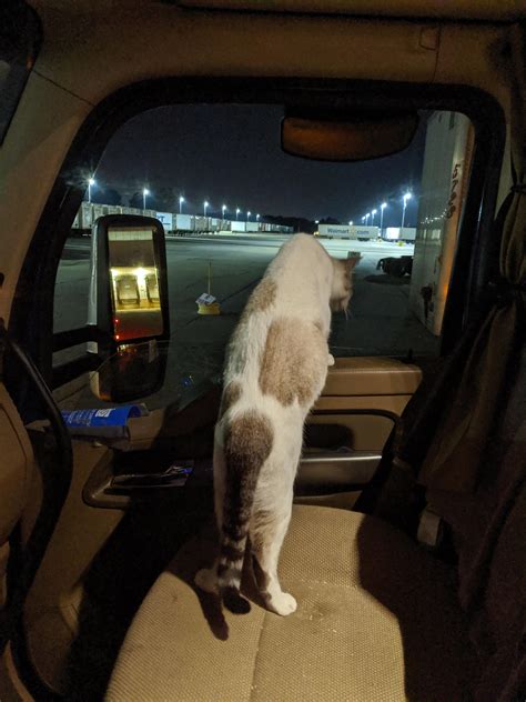 Every Morning We Roll Out Of The Truck Stop Rest Area Shipper Etc Like This It S Required