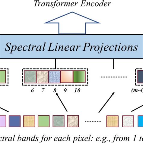 Comparison Of Different Spectral Embedding Modules A Classic