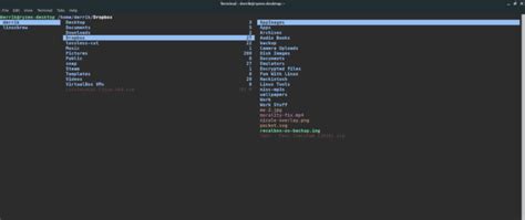 How To Browse The Hard Drive From The Terminal In Linux