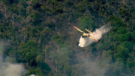 Makecode Save The Forest Hour Of Code 2021 Help Microsoft Makecode