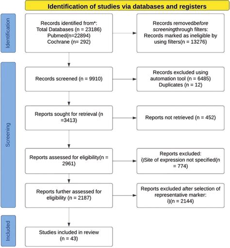 Prisma Scr Search Flow Chart For Scoping Review Download Scientific Diagram
