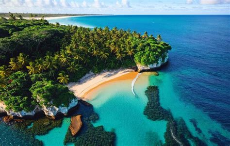 Premium Ai Image Aerial View Of Beautiful Tropical Beach With Coconut Palm Trees Blue Lagoon