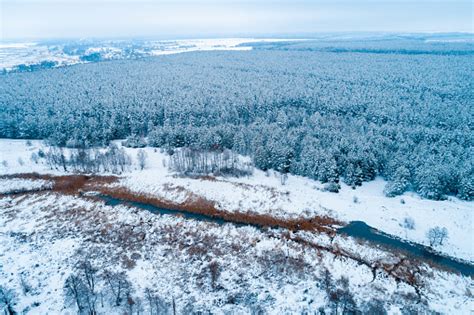 강과 소나무 눈 덮인 숲겨울 풍경입니다 눈으로 뒤덮인 나무 공중 보기 0명에 대한 스톡 사진 및 기타 이미지 0명 가리기 강 Istock