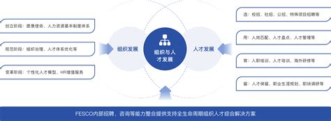 组织与人才发展fesco