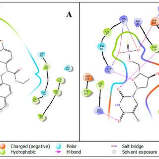 Ligand Interaction Diagram Of A RNA Dependent RNA Polymerase 6M71 Download Scientific