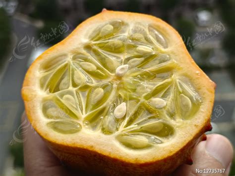 火参果果肉图下载红动中国