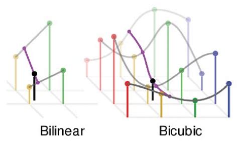 The Interpolation Function With Different Replacing Methods Download