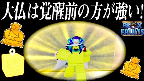 【ロブロックス】ブロックスフルーツの大仏の実は覚醒前の方が強いらしい【roblox】 Youtube