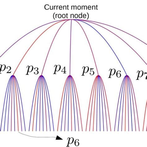 Asymmetric Tree Growth Of Phases Visiting Warm Color Indicates More