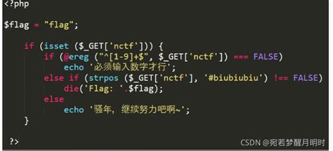 php代码审计 适合小白入门 php审计入门 csdn博客
