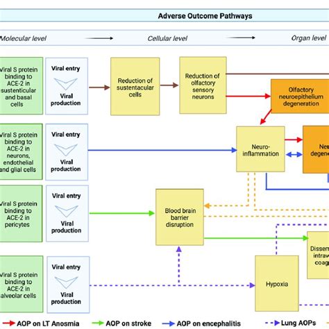 Integration Of Classical Aops Neuronal Related Aops Developed So Far Download Scientific