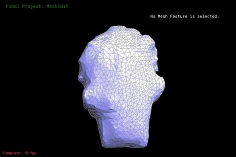 Mesh Downsampling And Remeshing
