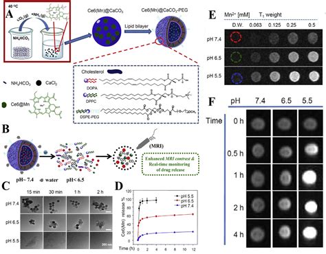 Calcium Carbonate Controlled Synthesis Surface Functionalization And Nanostructured Materials