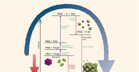 Mastering The Bornhaber Cycle Poster Rsc Education