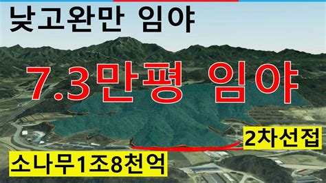 임야 7만3천평 계획관리1만평포함 4방위 낮고완만 건축가 자연인 전원생활 숲야영장6차산업 약용재배 산분장분양 대박장사오리주물럭 땅과함께새희망을경매임야 공매임야 나도땅주인
