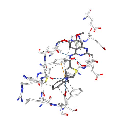 Tiron，超氧化物清除剂和抗氧化剂 知乎