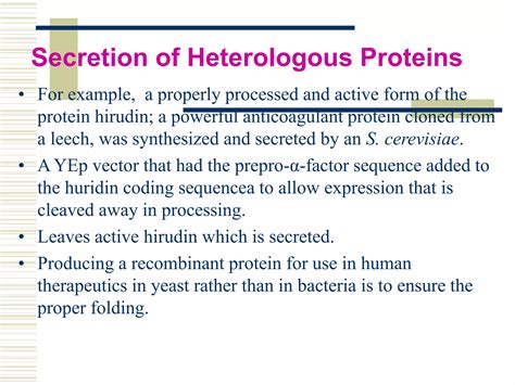 Expression System Final Pptx Programming Languages Computing