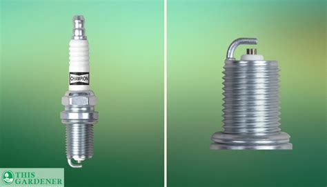 Champion QC YC Vs RC YC Comparing By Parameters