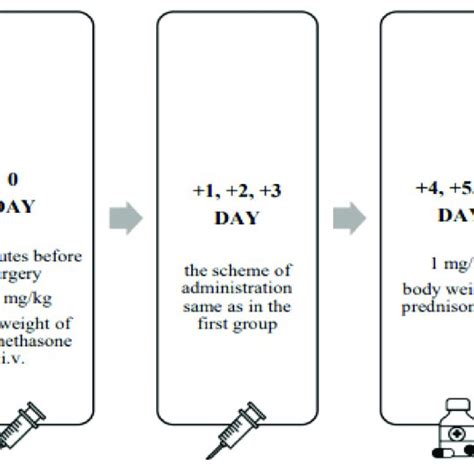 Scheme Of Administration Of Dexamethasone In Subgroup 1 I V Intravenous Download