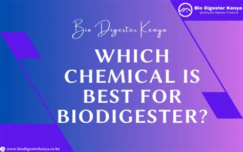 What Is A Biodigester Biodigester Kenya