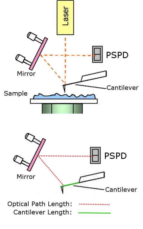 Demonstrates Optical Path Download Scientific Diagram