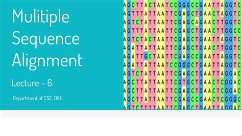 Multiple Sequence Alignment Youtube