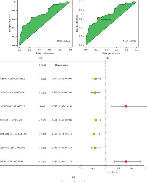 Figure 3 From An Immune Related Lncrna Pairing Model For Predicting The Prognosis And Immune