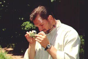 Landscape IPM Scouting Techniques Basic Overview Plant Pest Advisory