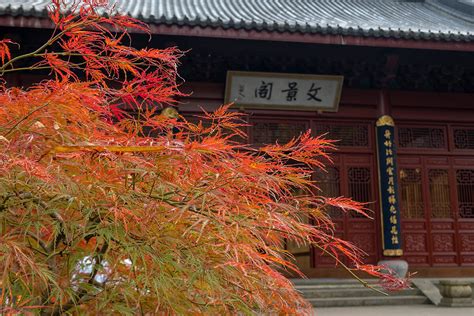 毗邻灵隐寺的东晋古刹虽为复建却有着中国最美寺庙之称 手机凤凰网