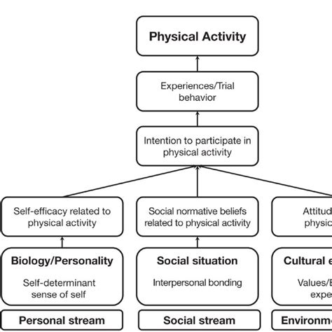 A Theoretical Framework Based On The Theory Of Triadic Influence 17 Download Scientific Diagram